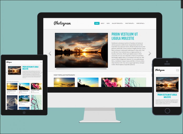 40+ Best Photography Website Templates For WordPress In 2017 | Tripwire ...
